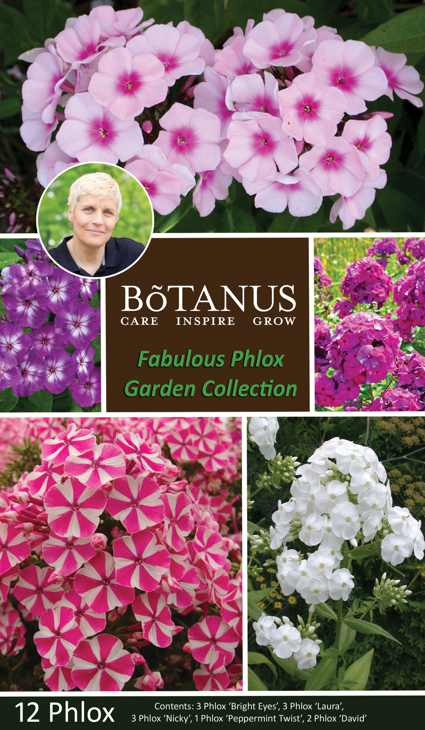 Fabulous Phlox Garden Collection - Botanus