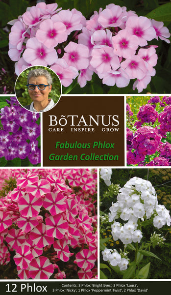 Fabulous Phlox Garden Collection - Botanus