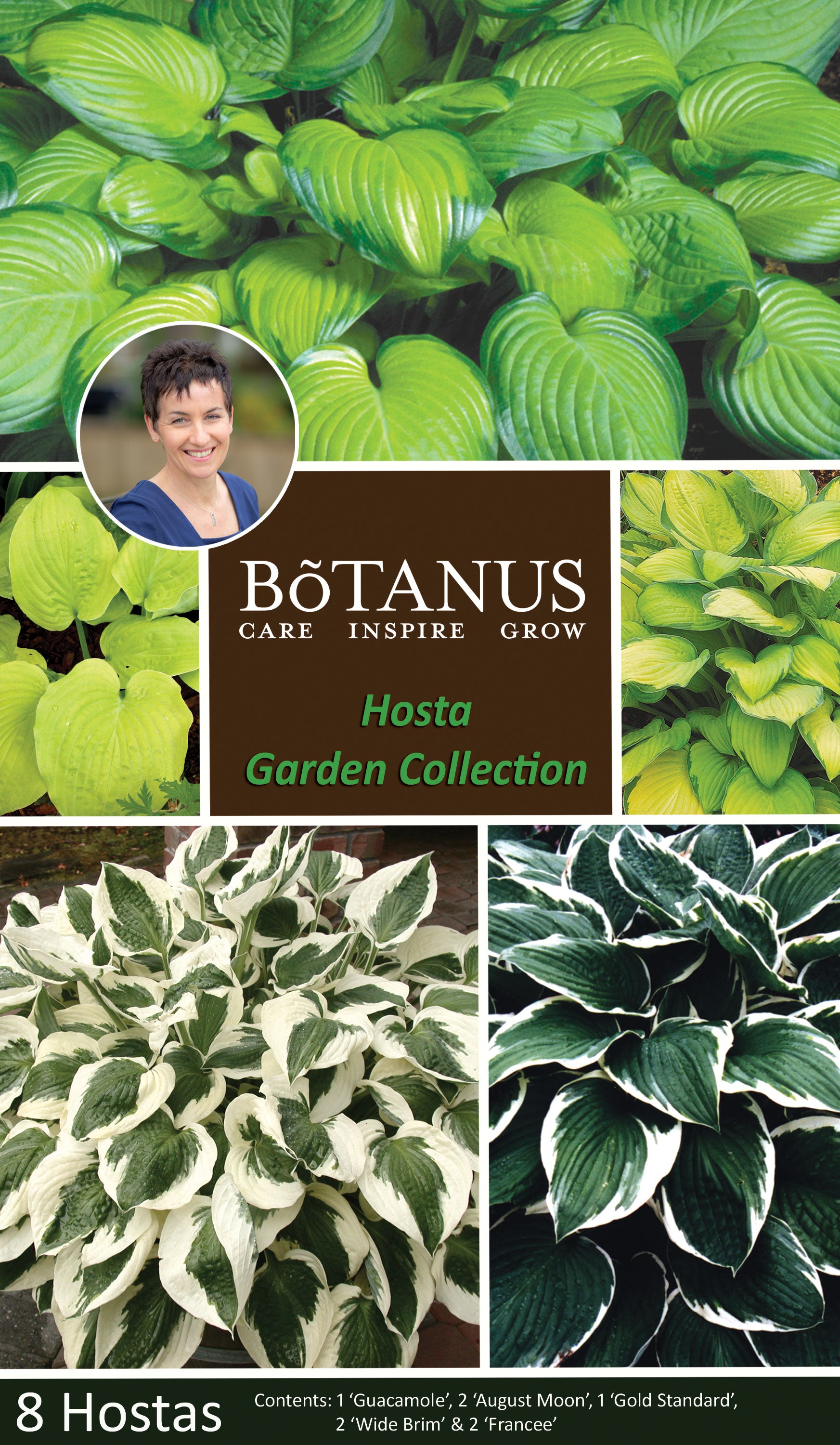 Hosta Garden Collection - Botanus