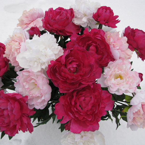 Peony Mix - Botanus