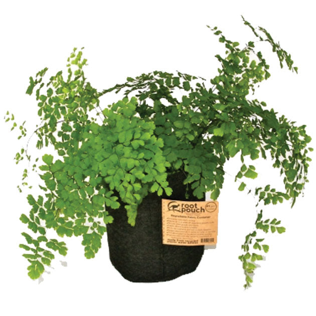 Root Pouch 10 Gallon - Botanus